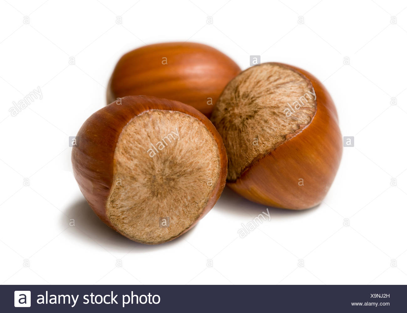 Haselnuesse High Resolution Stock Photography and Images - Alamy
