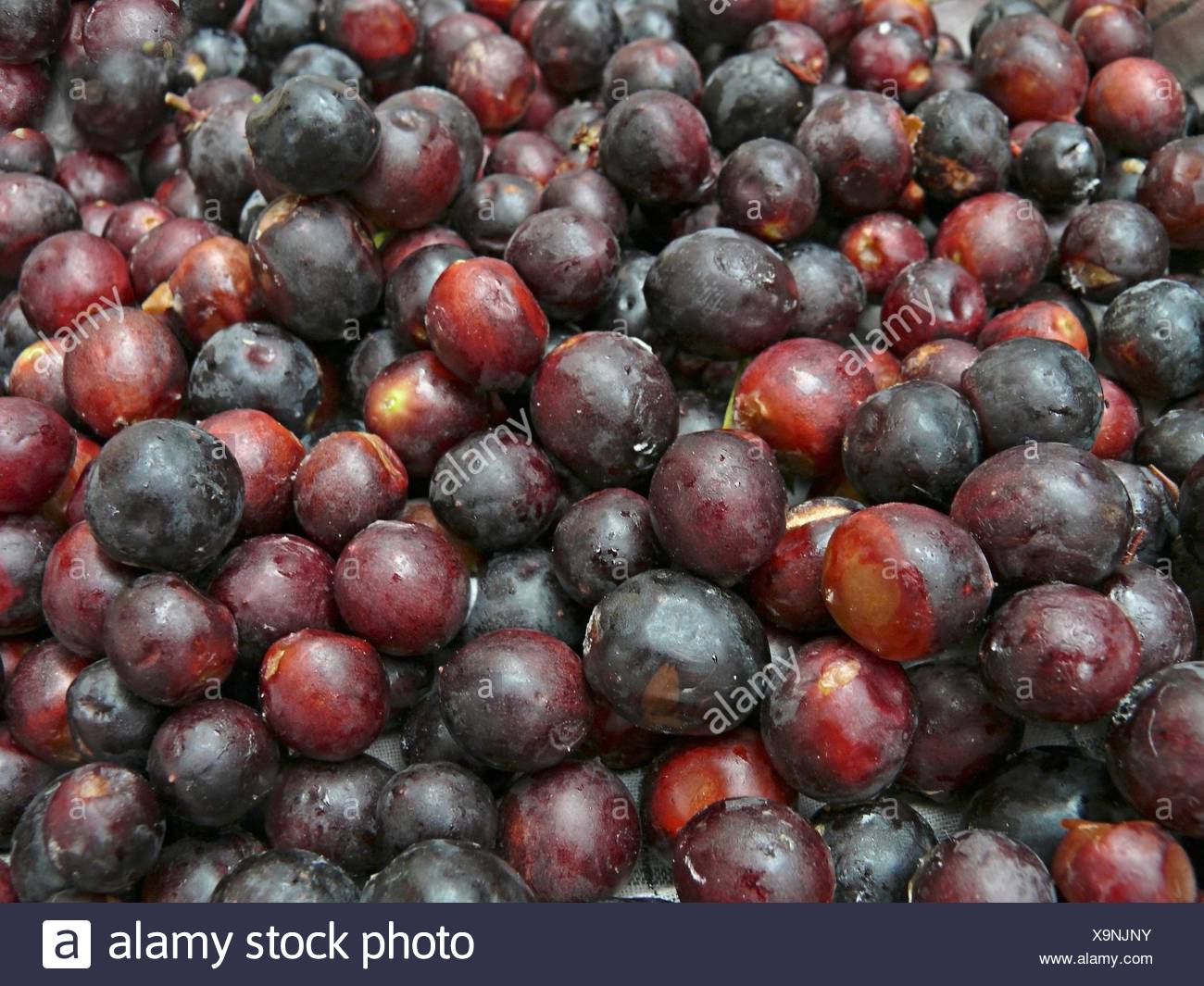 Karwanda Stock Photos & Karwanda Stock Images - Alamy