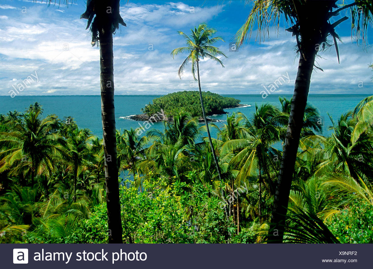 Guyana Coast South America High Resolution Stock Photography and Images ...