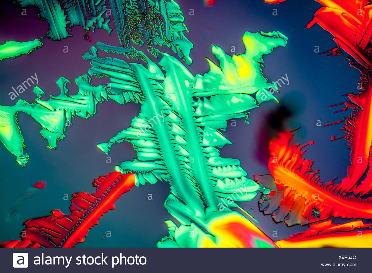 Urea Crystals Stock Photos & Urea Crystals Stock Images - Alamy