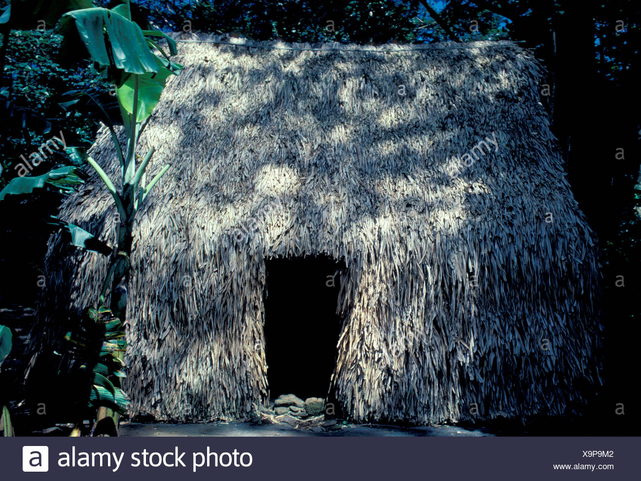 Grass Hut Hawaii High Resolution Stock Photography and Images - Alamy