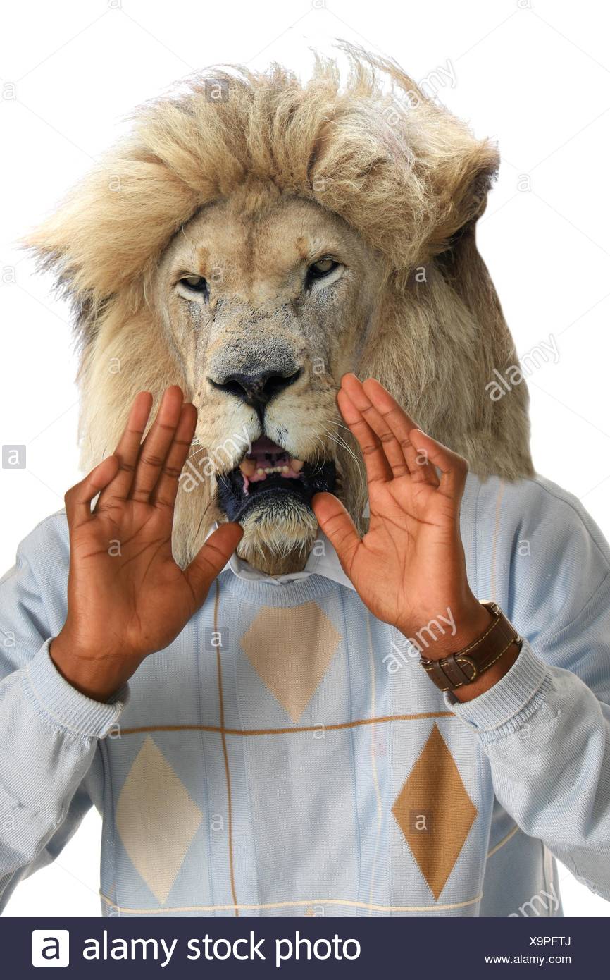 Teath Stock Photos & Teath Stock Images - Alamy