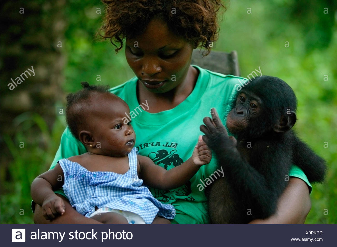 Mother And Child Bonobo High Resolution Stock Photography and Images ...