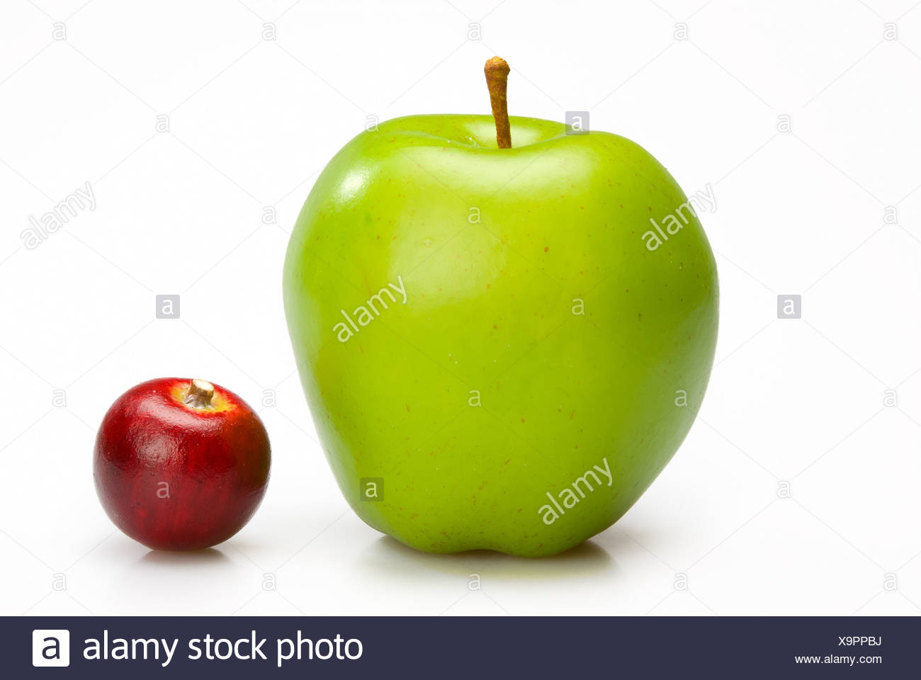 Big Apple Small Apple Cut Out Stock Images & Pictures - Alamy