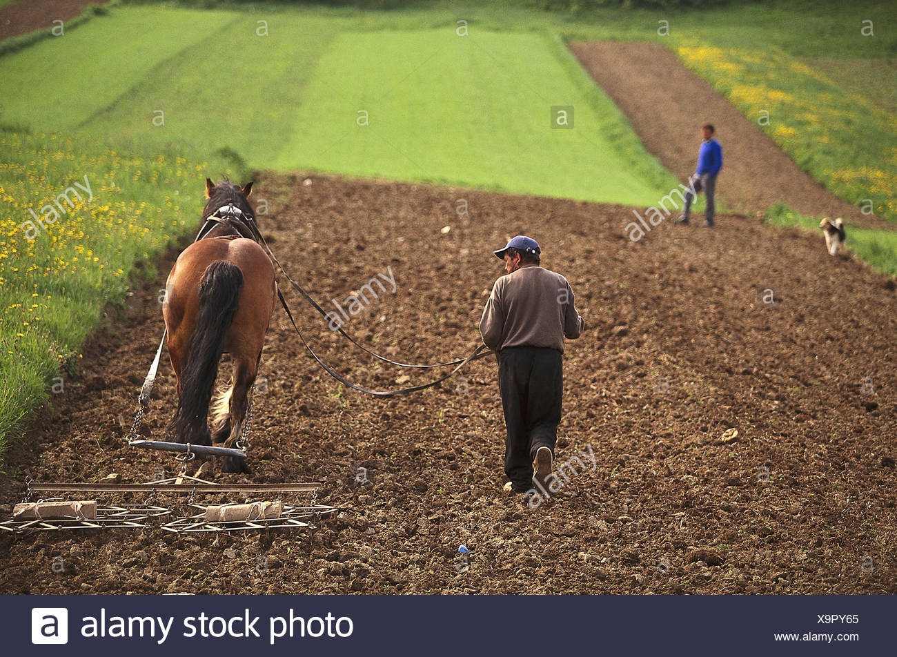 Bauer Beruf High Resolution Stock Photography and Images - Alamy