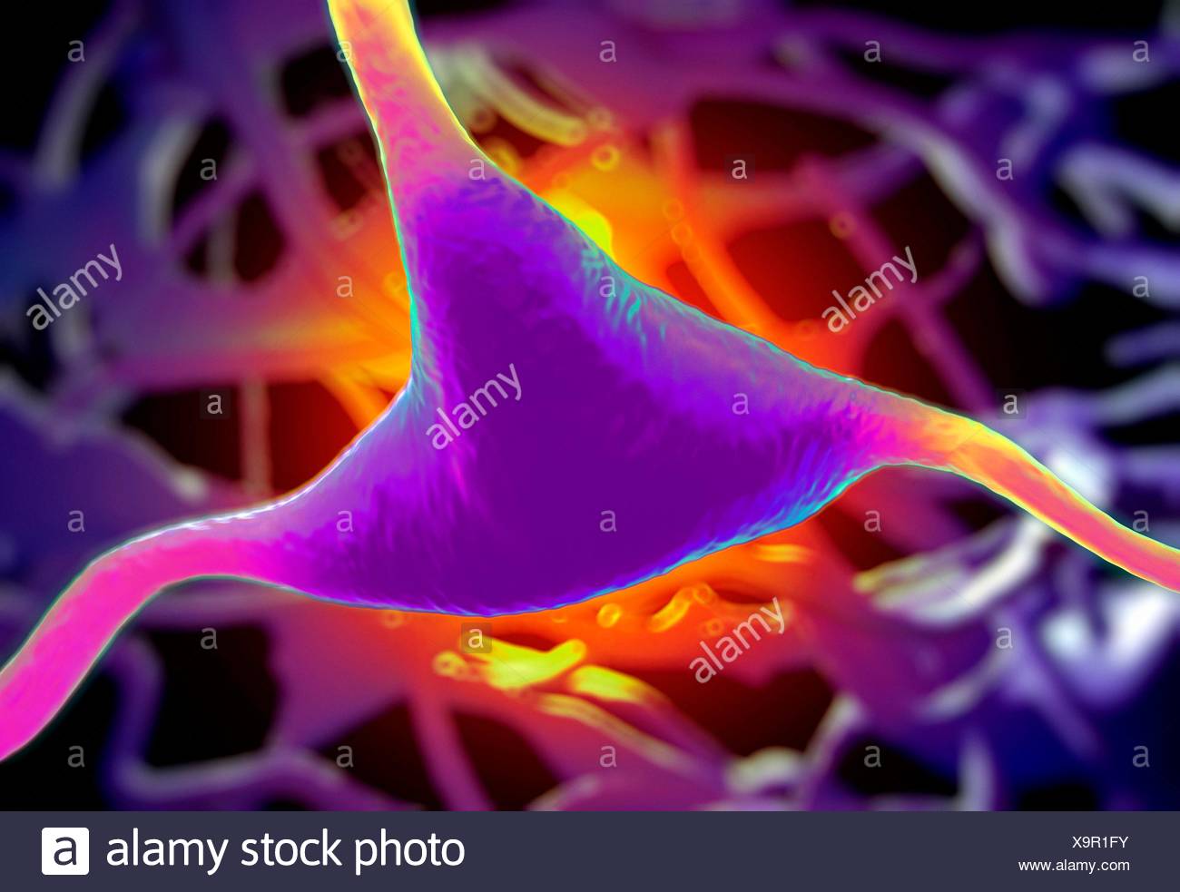 Cortex Neuron High Resolution Stock Photography and Images - Alamy