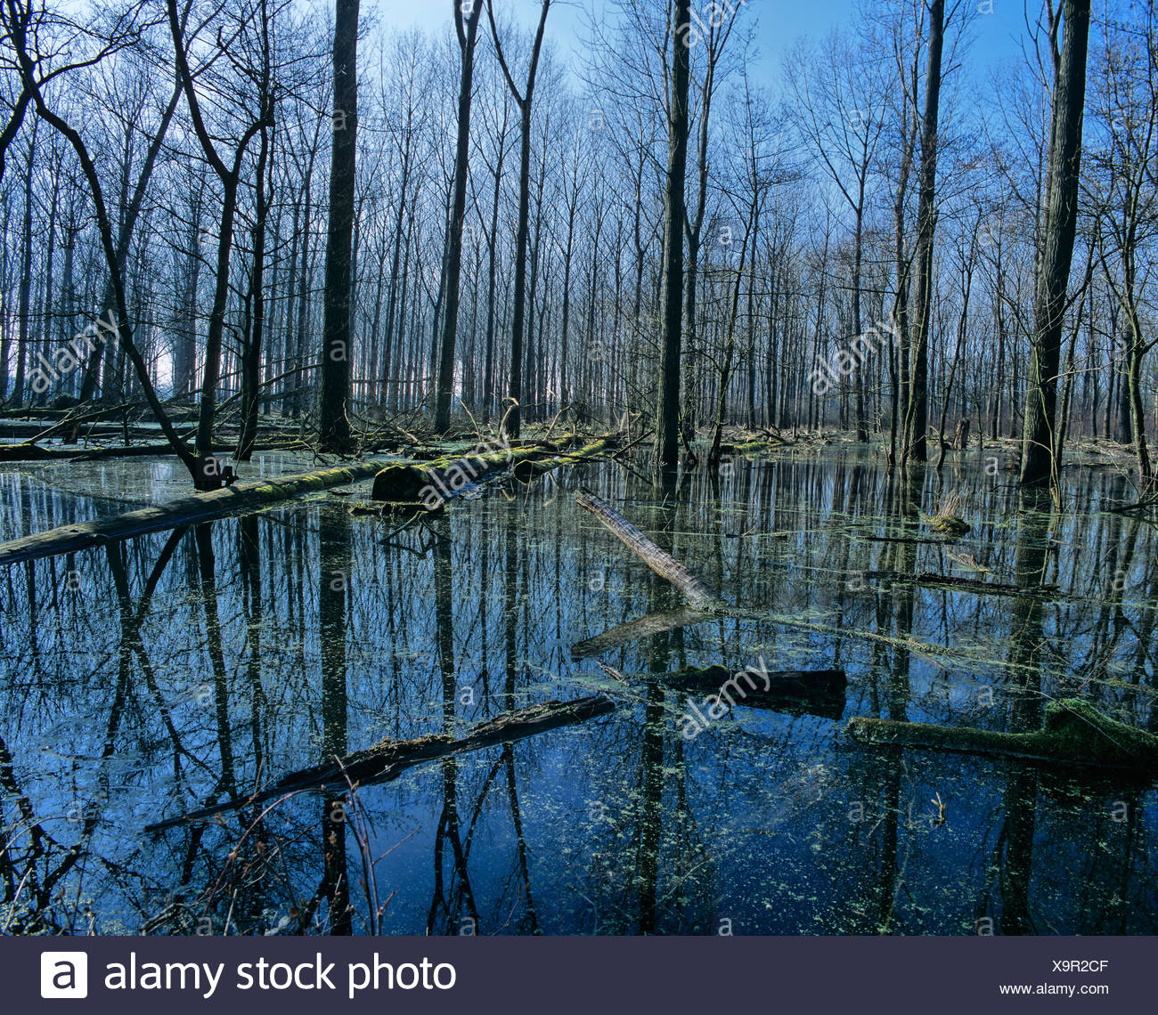 Biotope Stock Photos & Biotope Stock Images - Alamy