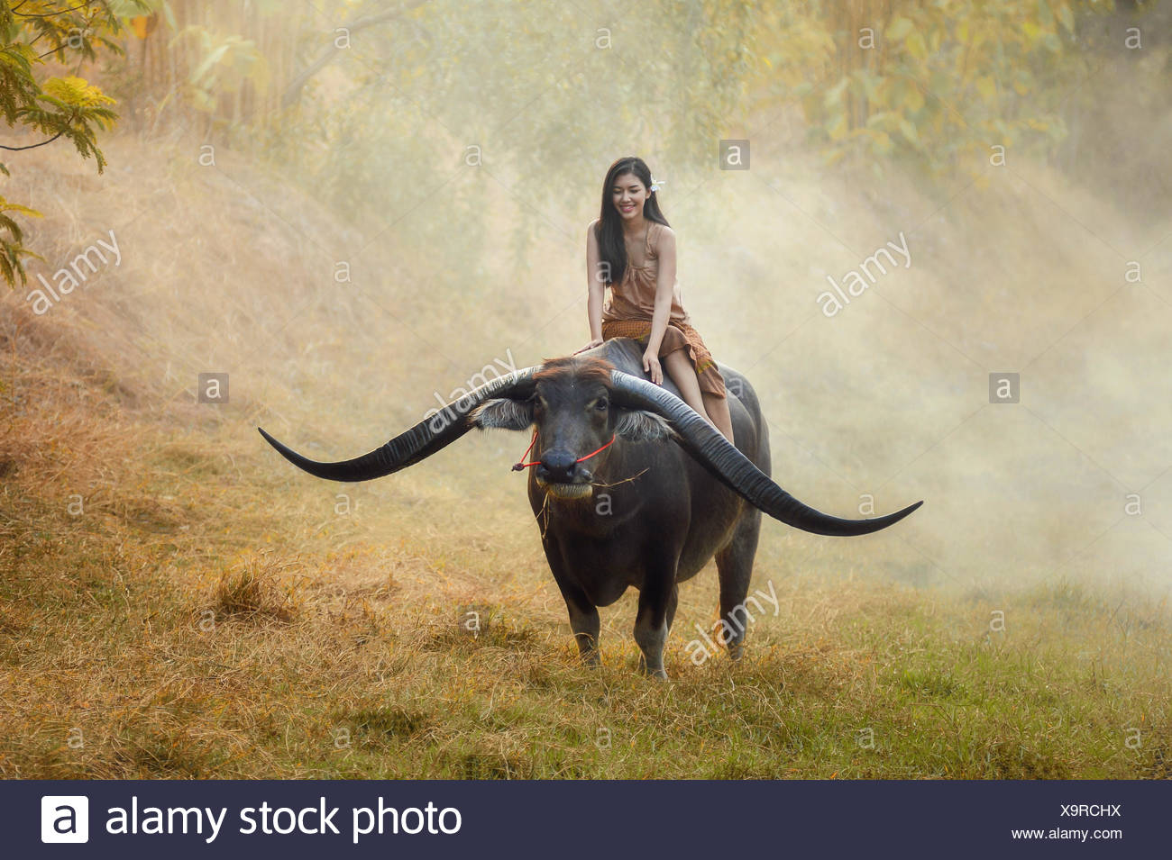Buffalo Riding High Resolution Stock Photography and Images - Alamy