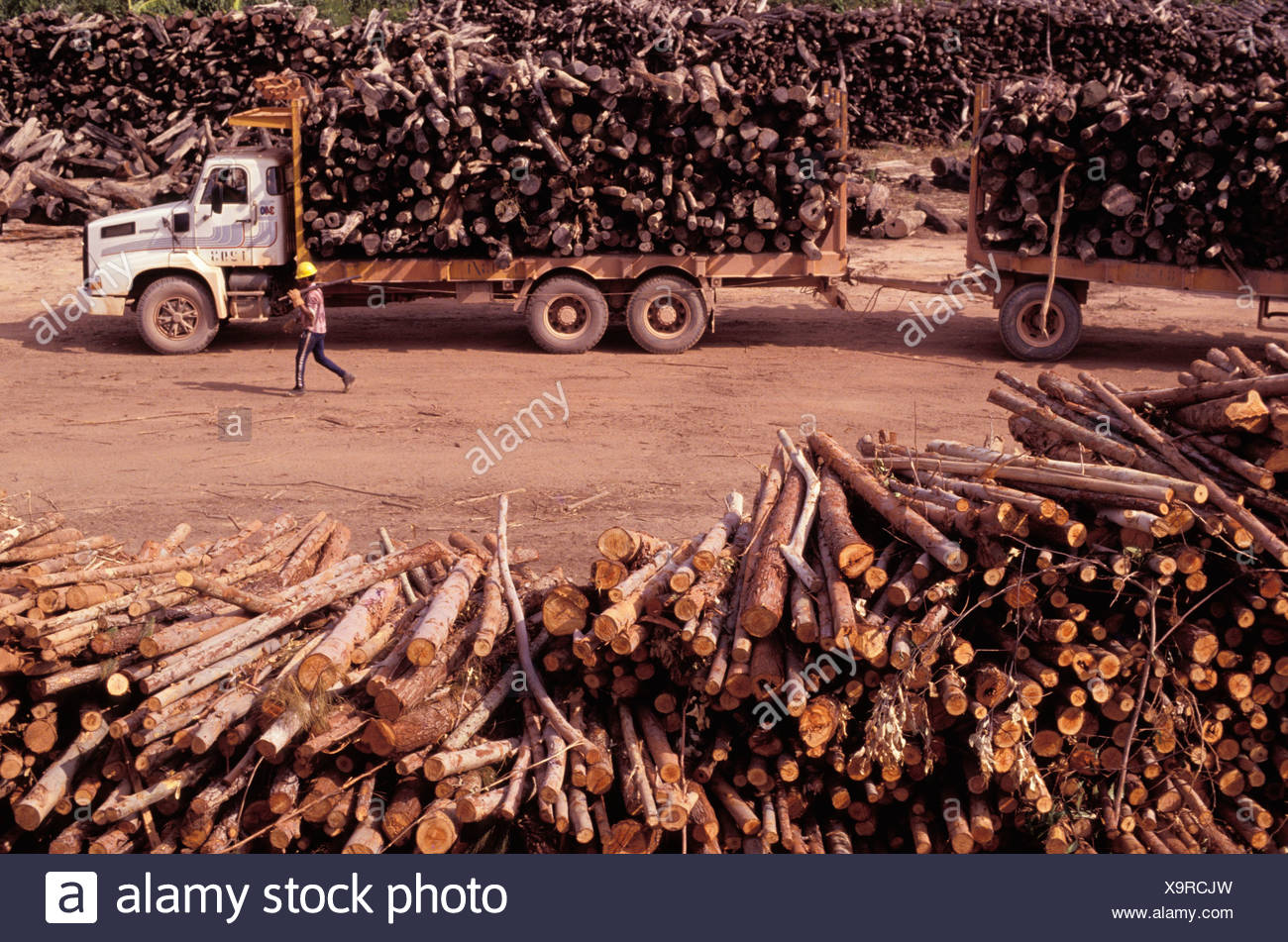 Clearance Rainforest Stock Photos & Clearance Rainforest Stock Images ...