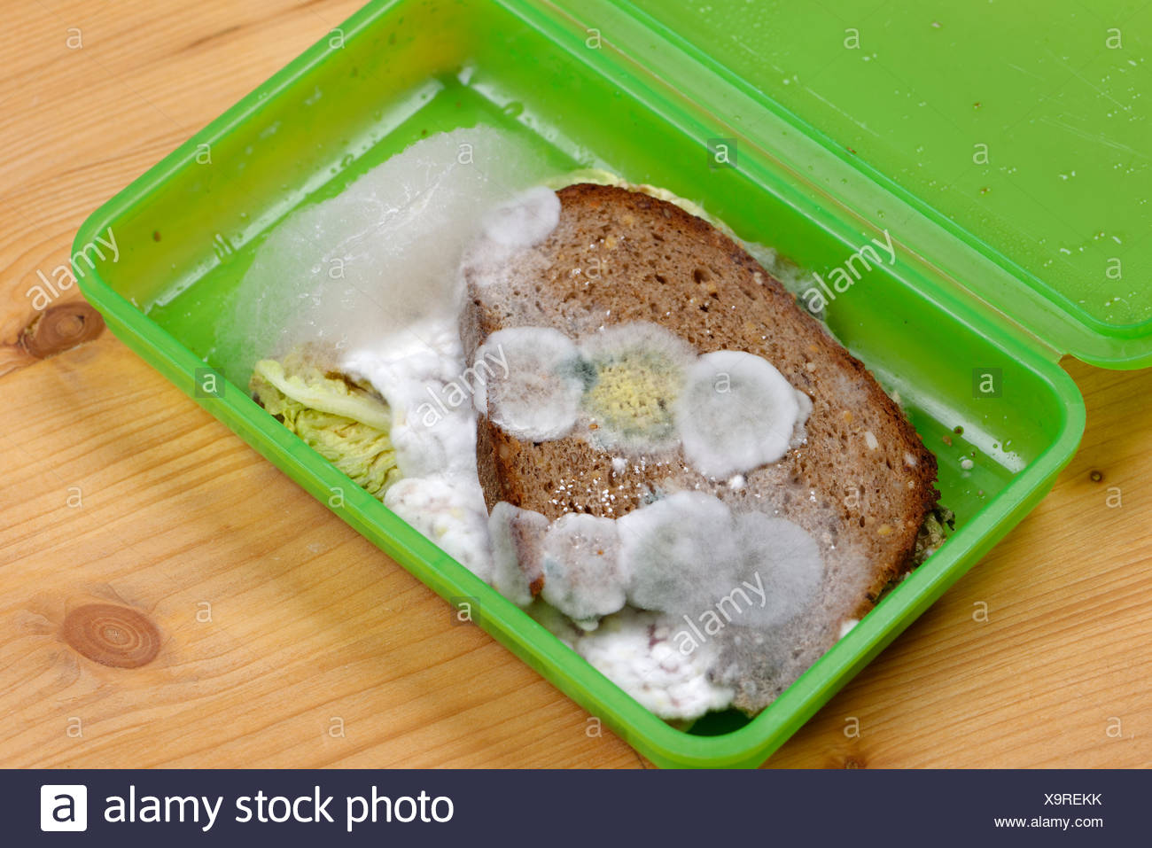 Moldy Sandwich High Resolution Stock Photography and Images - Alamy