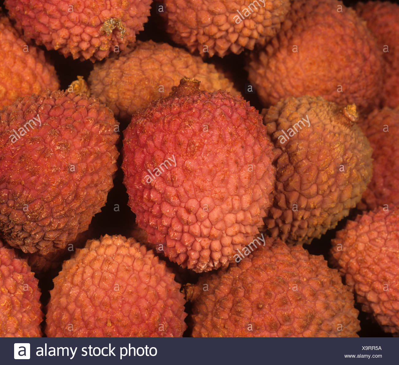 Chinensis Lychee High Resolution Stock Photography and Images - Alamy