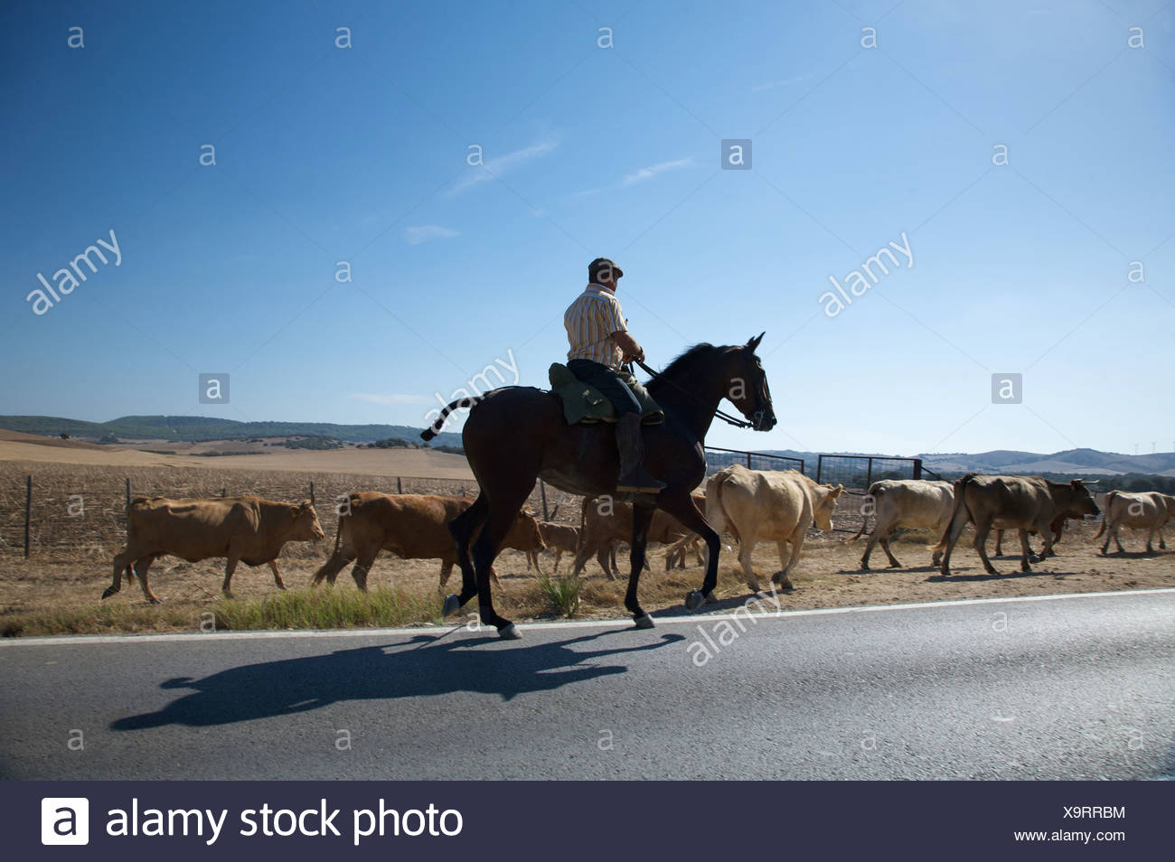 Spanish Cowboy High Resolution Stock Photography and Images - Alamy