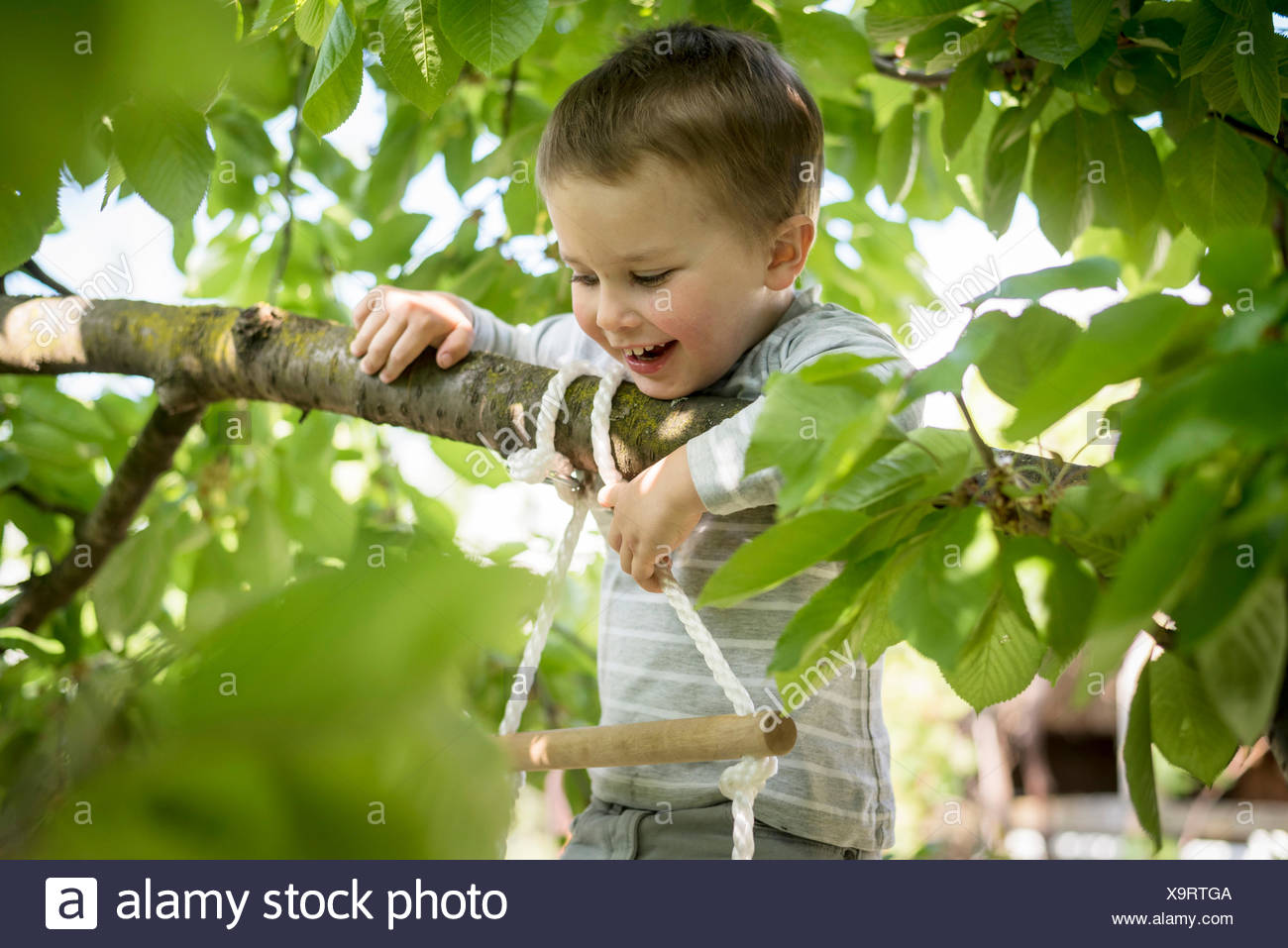 Climbing A Rope High Resolution Stock Photography and Images - Alamy