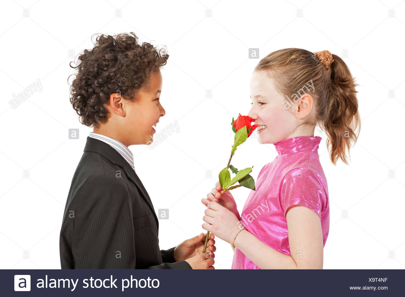 Boy Giving Rose Girl Stock Photos & Boy Giving Rose Girl Stock Images ...