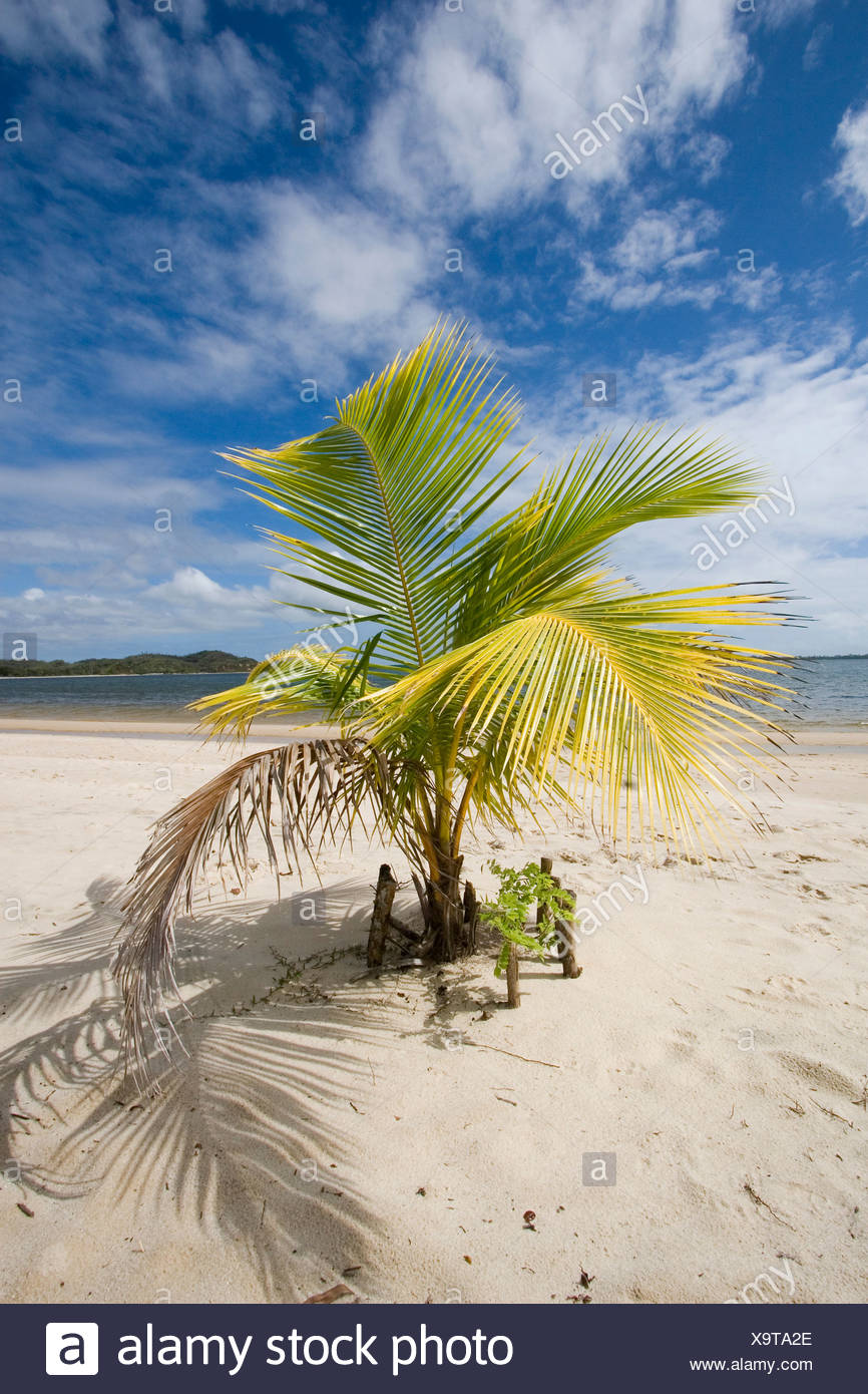 Manambato High Resolution Stock Photography and Images - Alamy