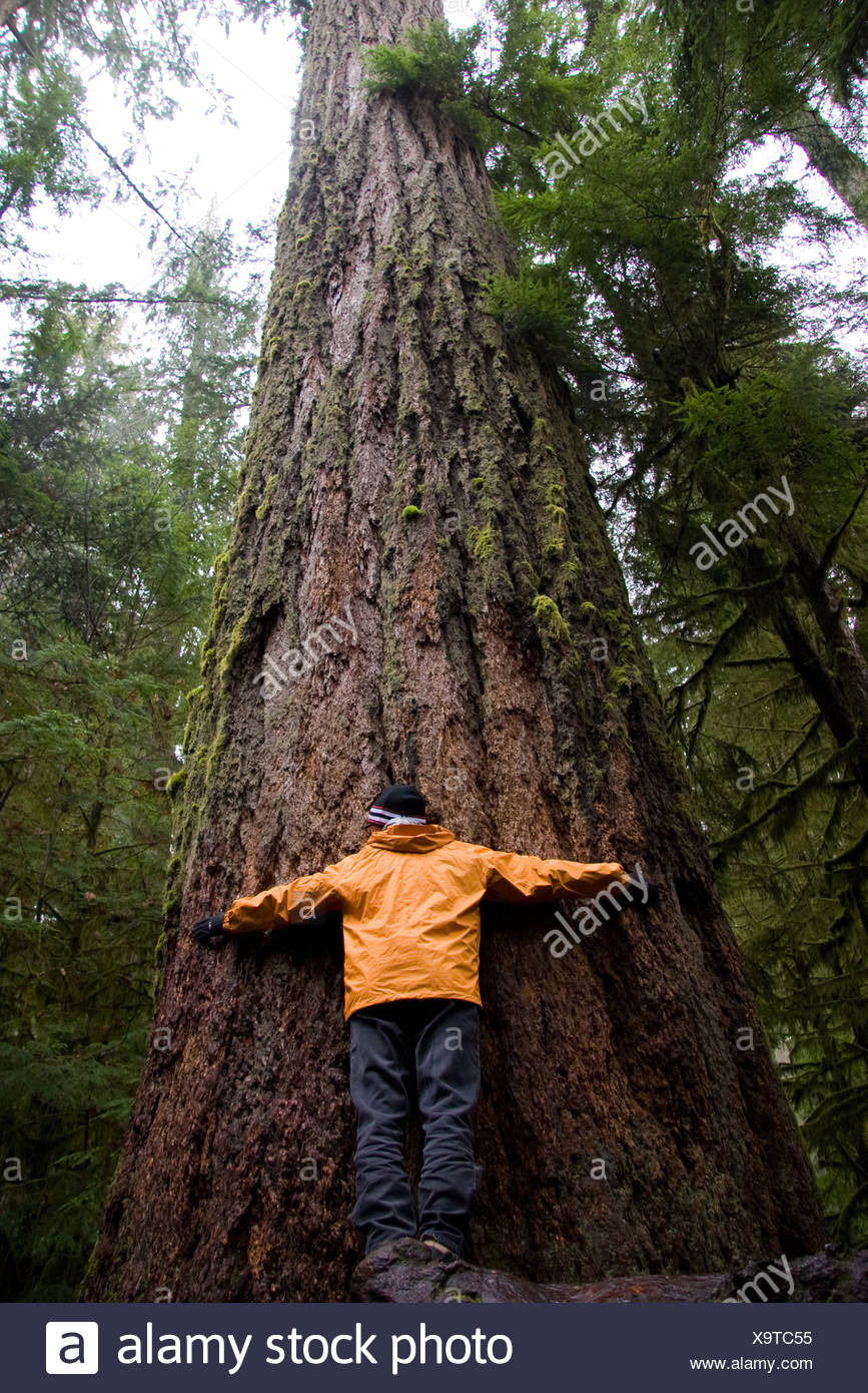 Temperate Weather High Resolution Stock Photography and Images - Alamy