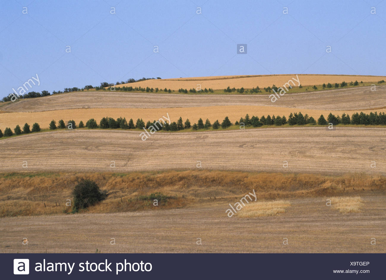 Strip Cropping Stock Photos & Strip Cropping Stock Images - Alamy