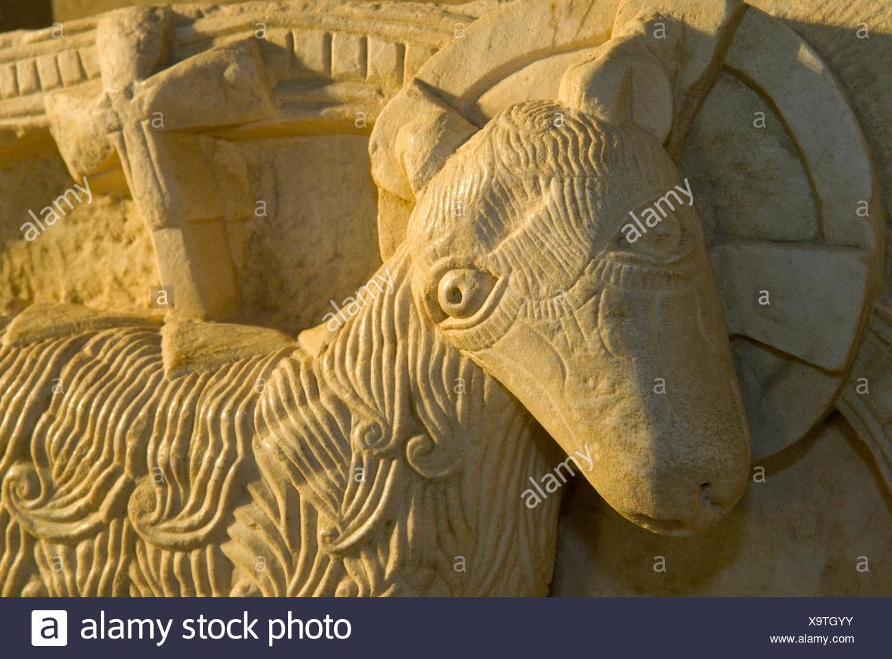Agnus Dei High Resolution Stock Photography and Images - Alamy