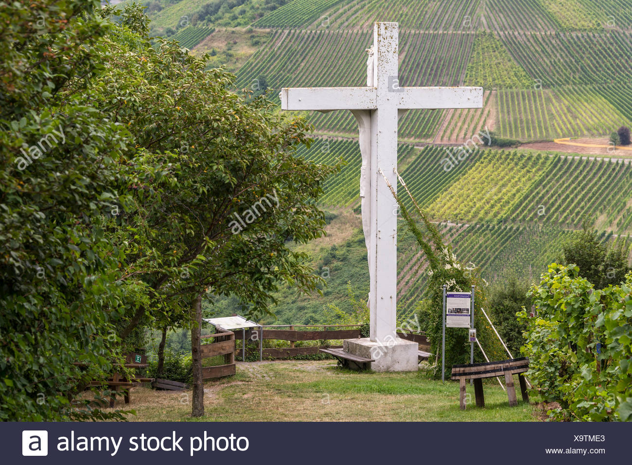 Grosser Wine High Resolution Stock Photography and Images - Alamy