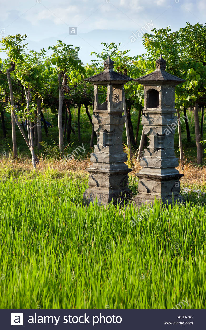 Goddess Sri High Resolution Stock Photography and Images - Alamy