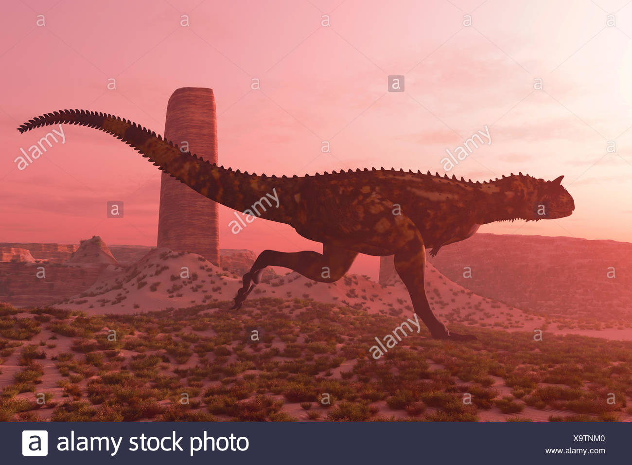 Carnotaurus High Resolution Stock Photography and Images - Alamy