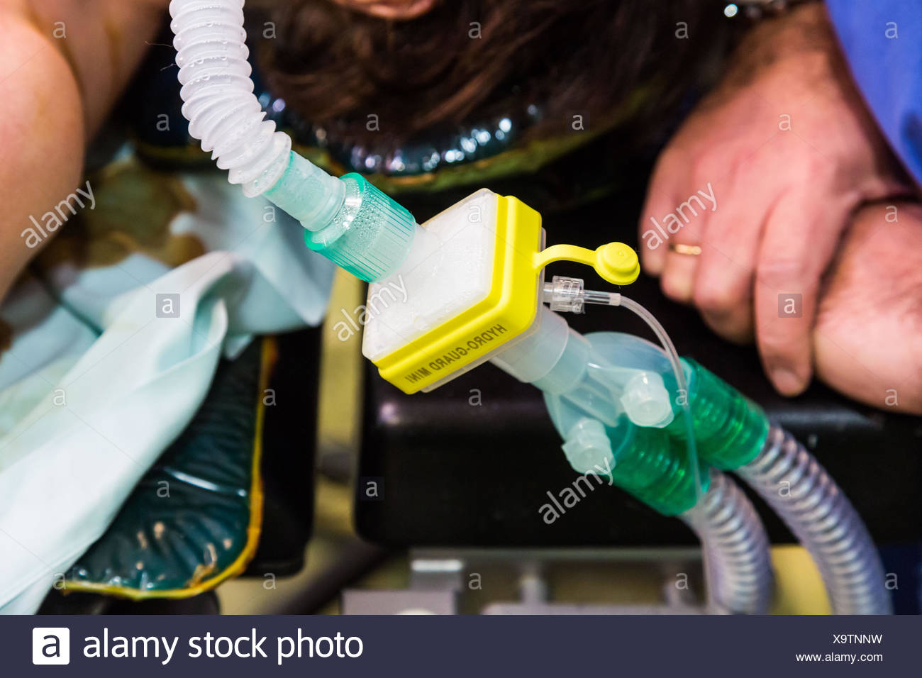 Anaesthetist Anaesthetic Mask High Resolution Stock Photography and ...