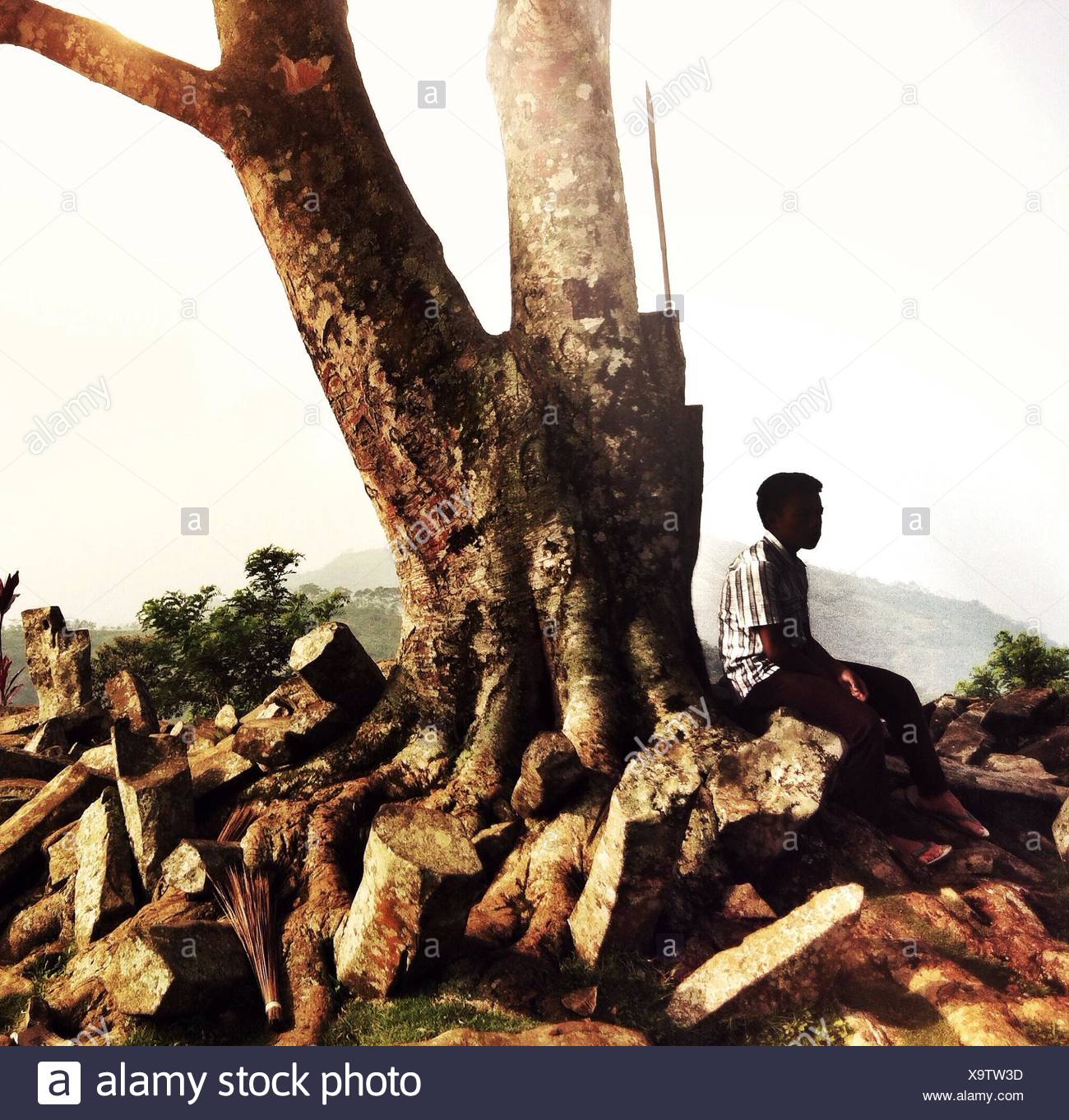 Man Sitting Against Tree Trunk High Resolution Stock Photography and ...