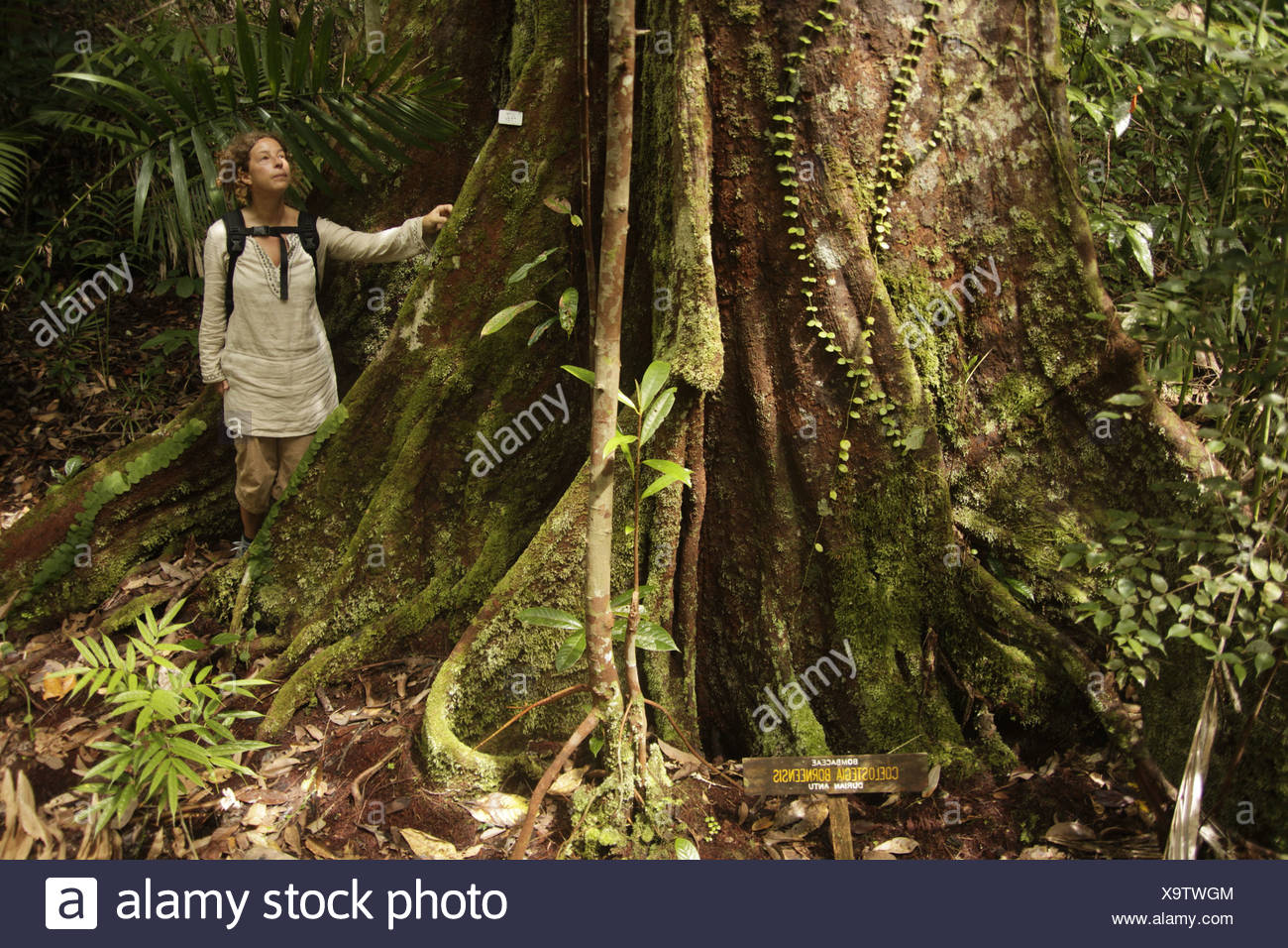 Sarawak Stock Photos & Sarawak Stock Images - Alamy