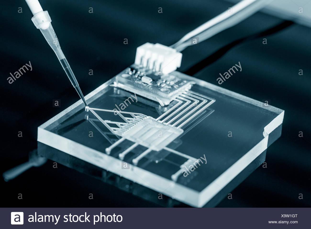 Lab On Chip Loc High Resolution Stock Photography and Images - Alamy