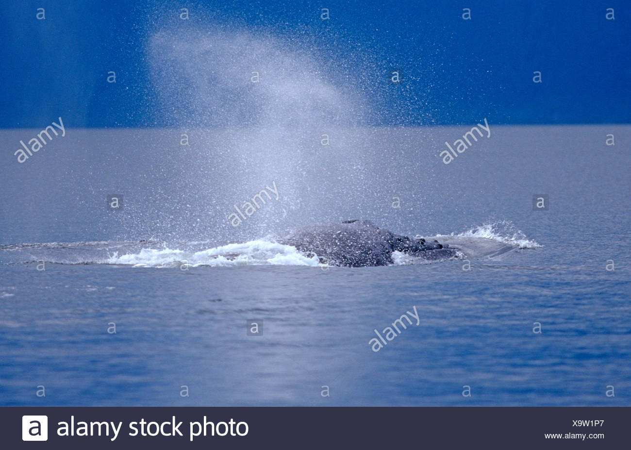 Air Blow Out Air High Resolution Stock Photography and Images - Alamy