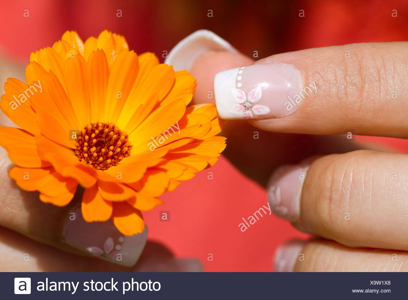 French Manicure High Resolution Stock Photography and Images - Alamy