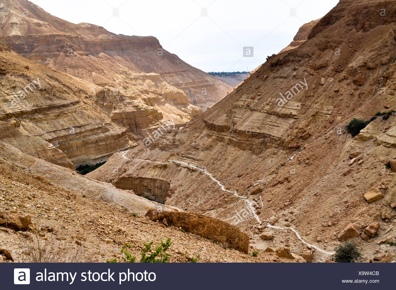 En Gedi Stock Photos & En Gedi Stock Images - Alamy
