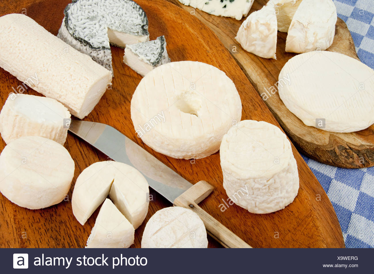 Fat Sheep High Resolution Stock Photography and Images - Alamy