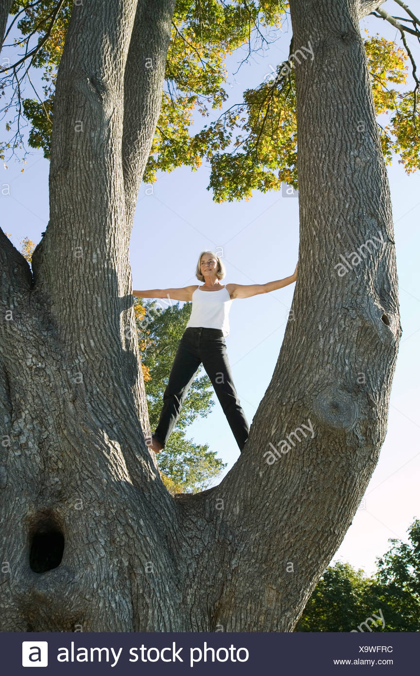 Crook Of Branches High Resolution Stock Photography and Images - Alamy