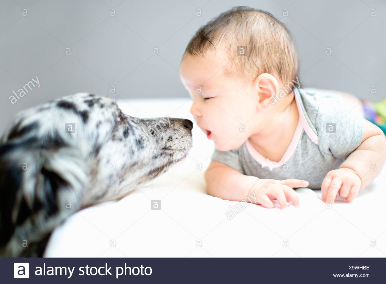 Baby Girl And Dog High Resolution Stock Photography and Images - Alamy
