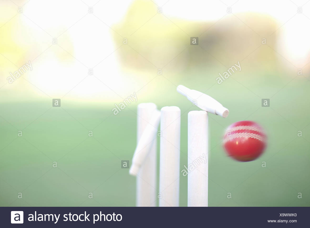 Hitting Cricket Ball High Resolution Stock Photography and Images - Alamy