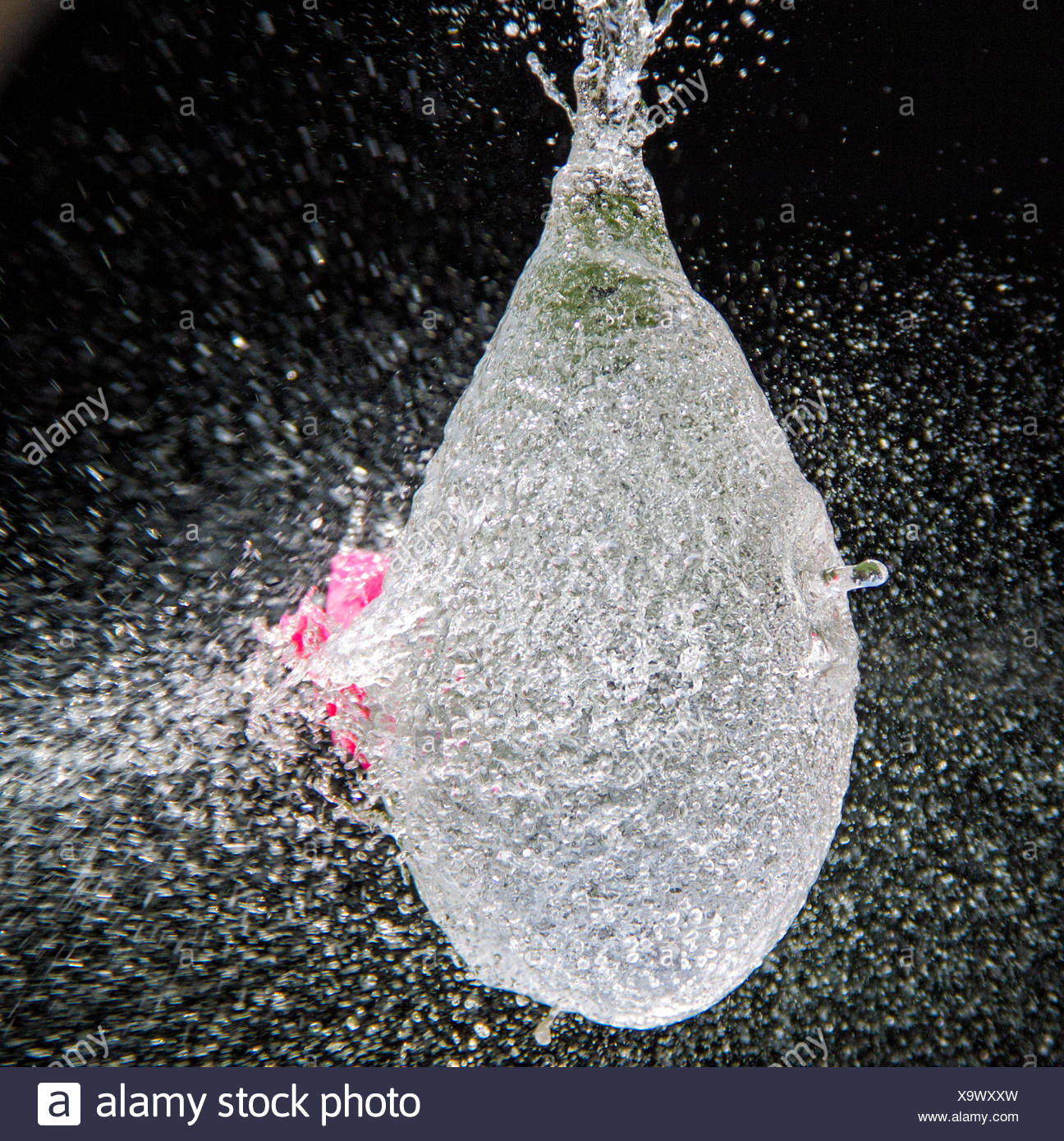 Bursting Into Life High Resolution Stock Photography and Images - Alamy