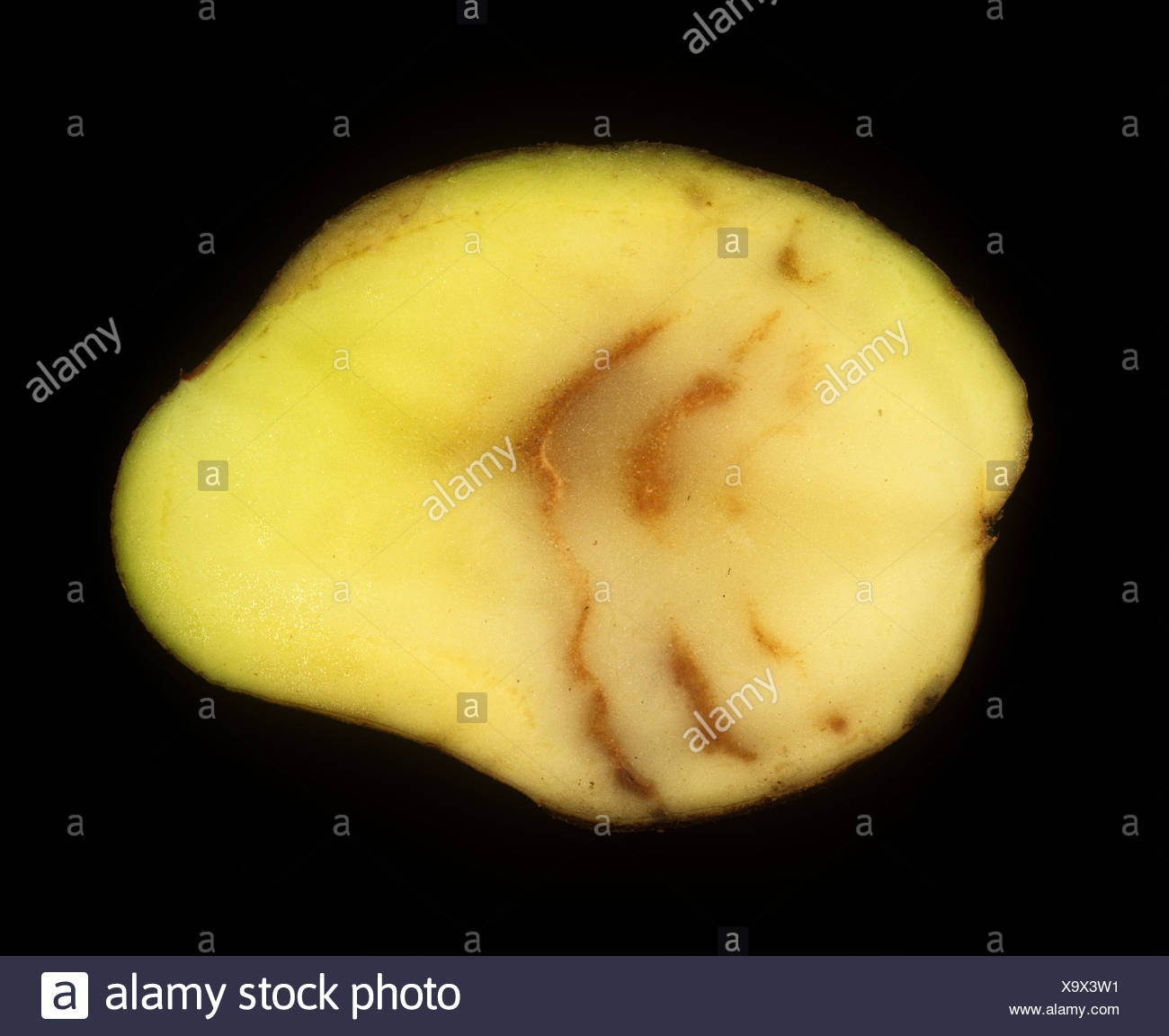 Spraing Stock Photos & Spraing Stock Images - Alamy