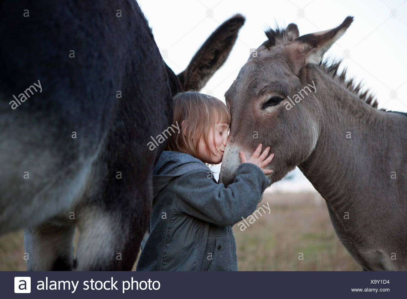 Donkey Jacket High Resolution Stock Photography and Images - Alamy