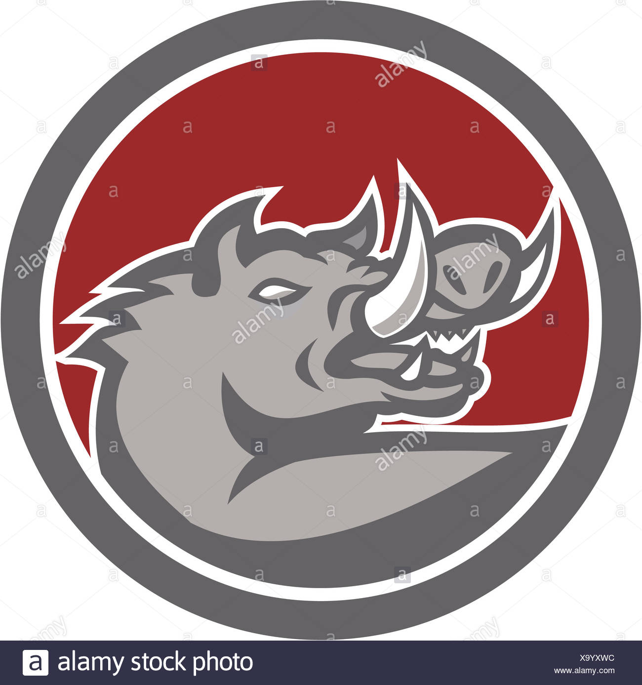 Razorback Pig Stock Photos & Razorback Pig Stock Images - Alamy