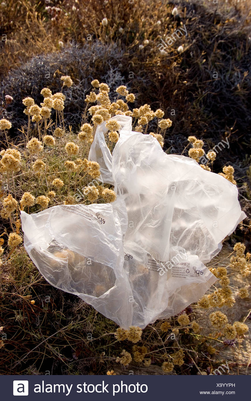 Bag Of Wind High Resolution Stock Photography and Images - Alamy