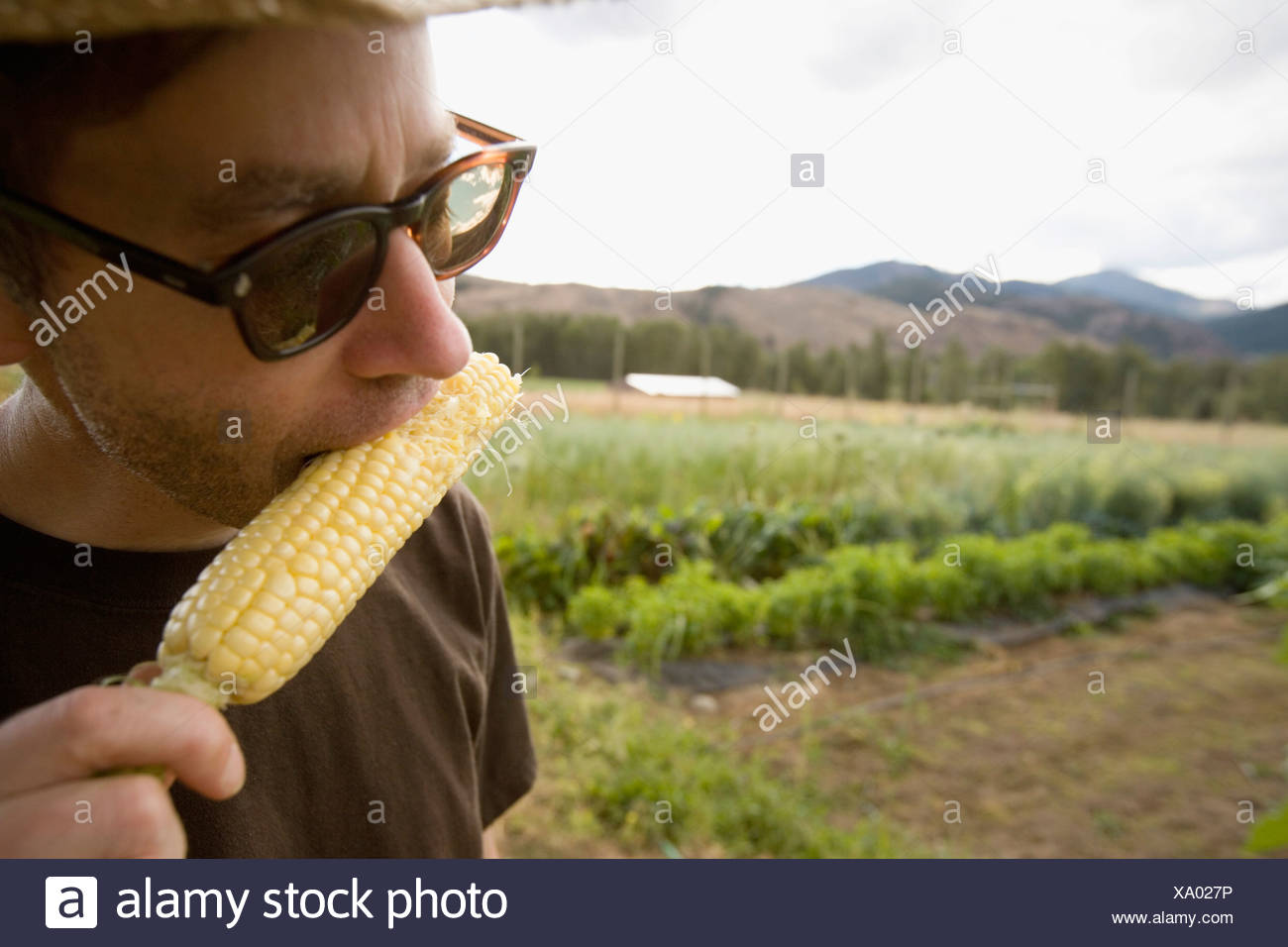 Man Eating Corn On The Cob Stock Photos & Man Eating Corn On The Cob ...