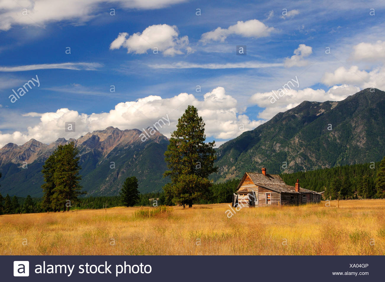 Steele House High Resolution Stock Photography and Images - Alamy