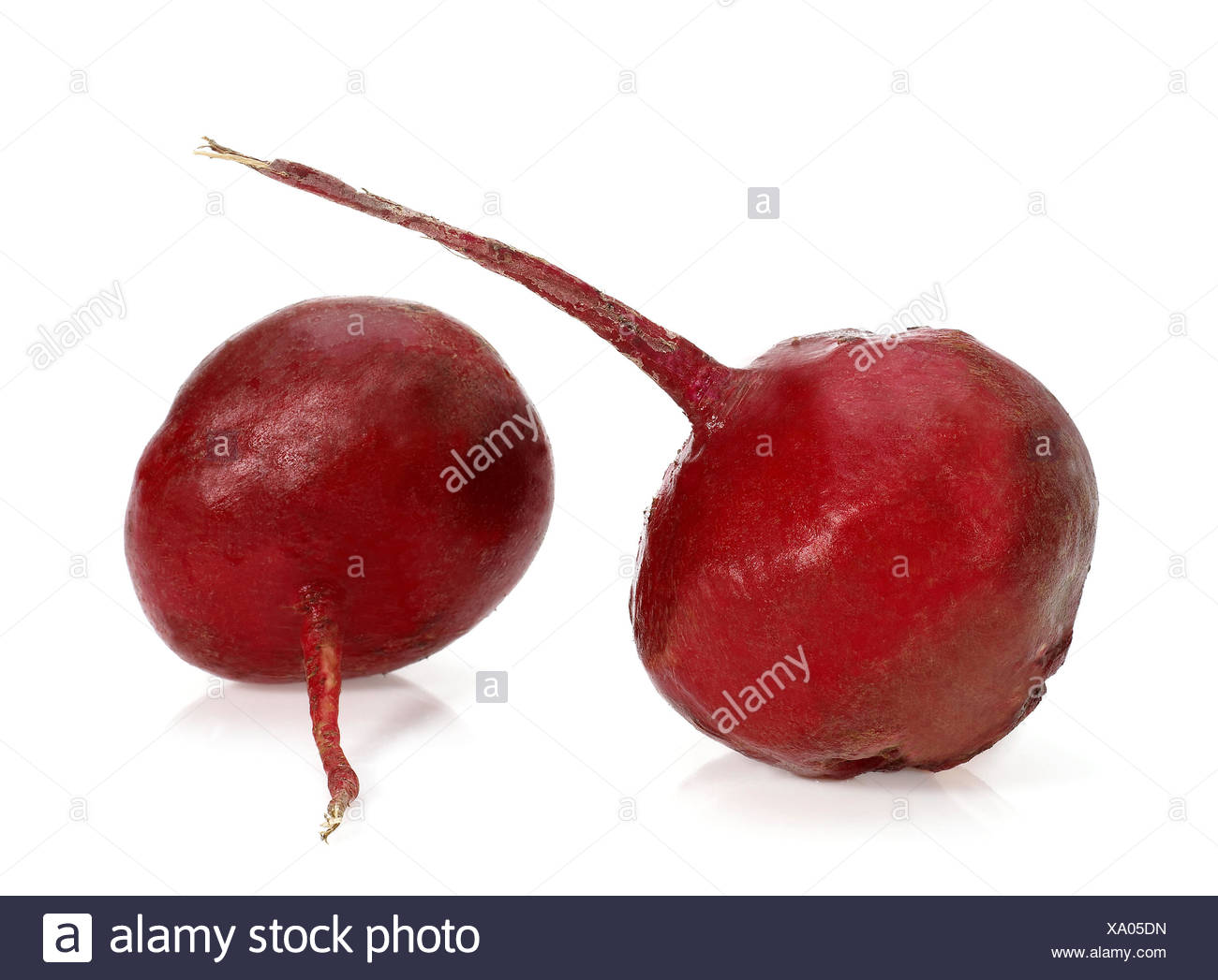 Vulgaris Rubra High Resolution Stock Photography and Images - Alamy
