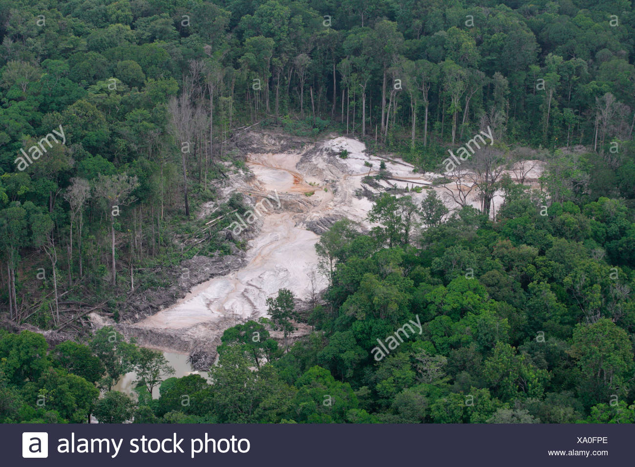 Mining Rain Forest High Resolution Stock Photography and Images - Alamy