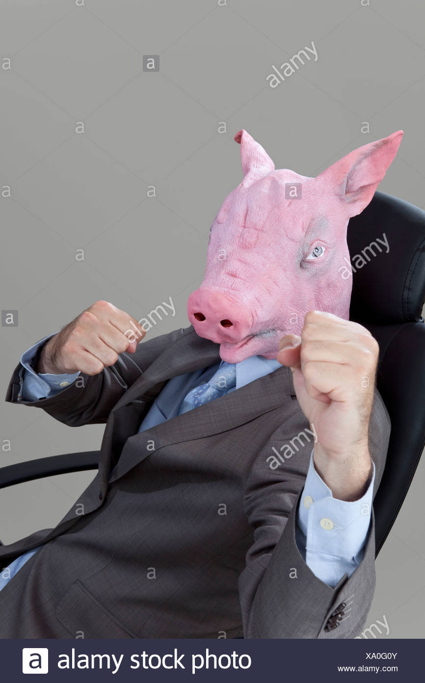Pig Fighting High Resolution Stock Photography and Images - Alamy