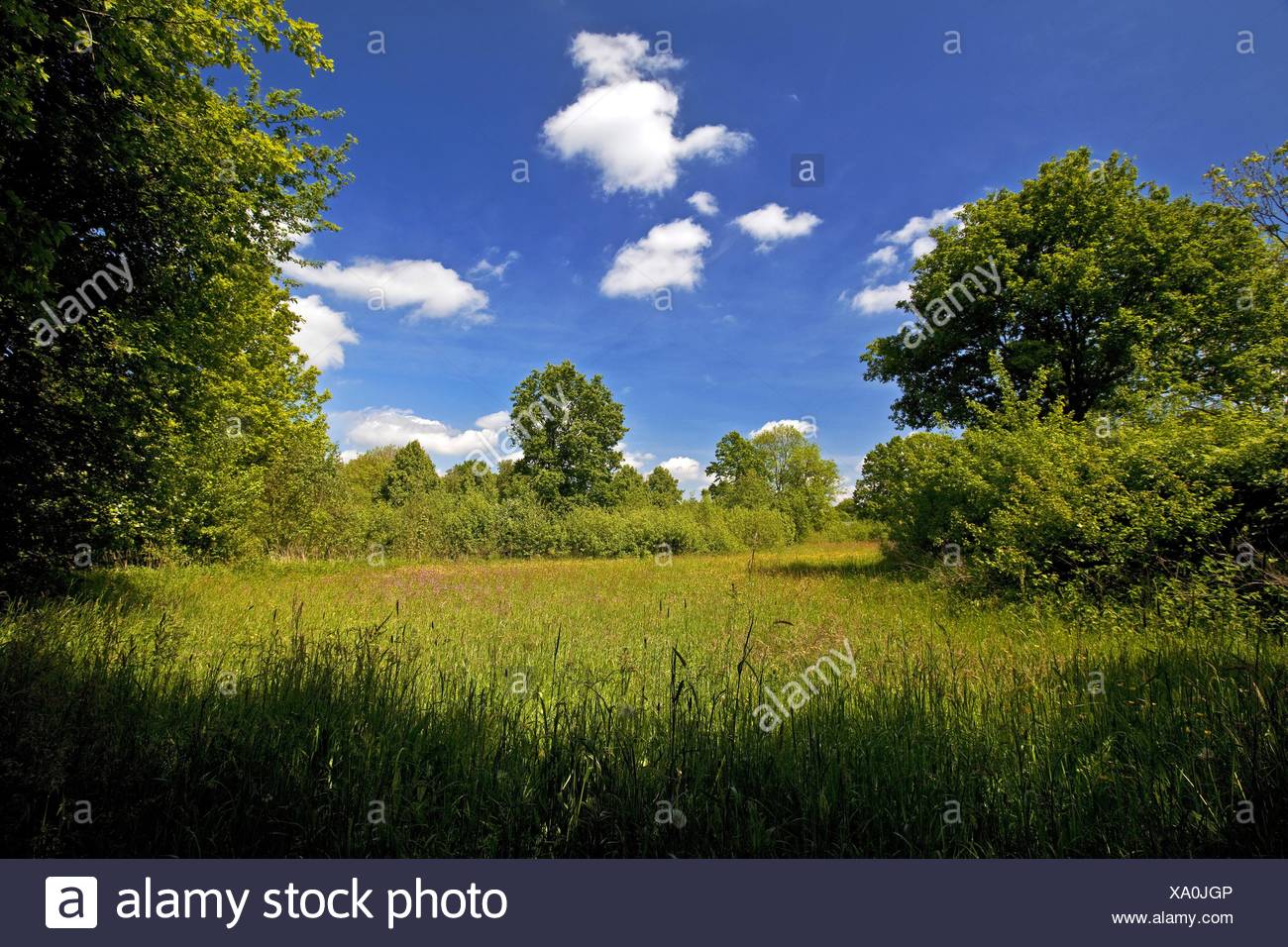 North German Plains High Resolution Stock Photography and Images - Alamy