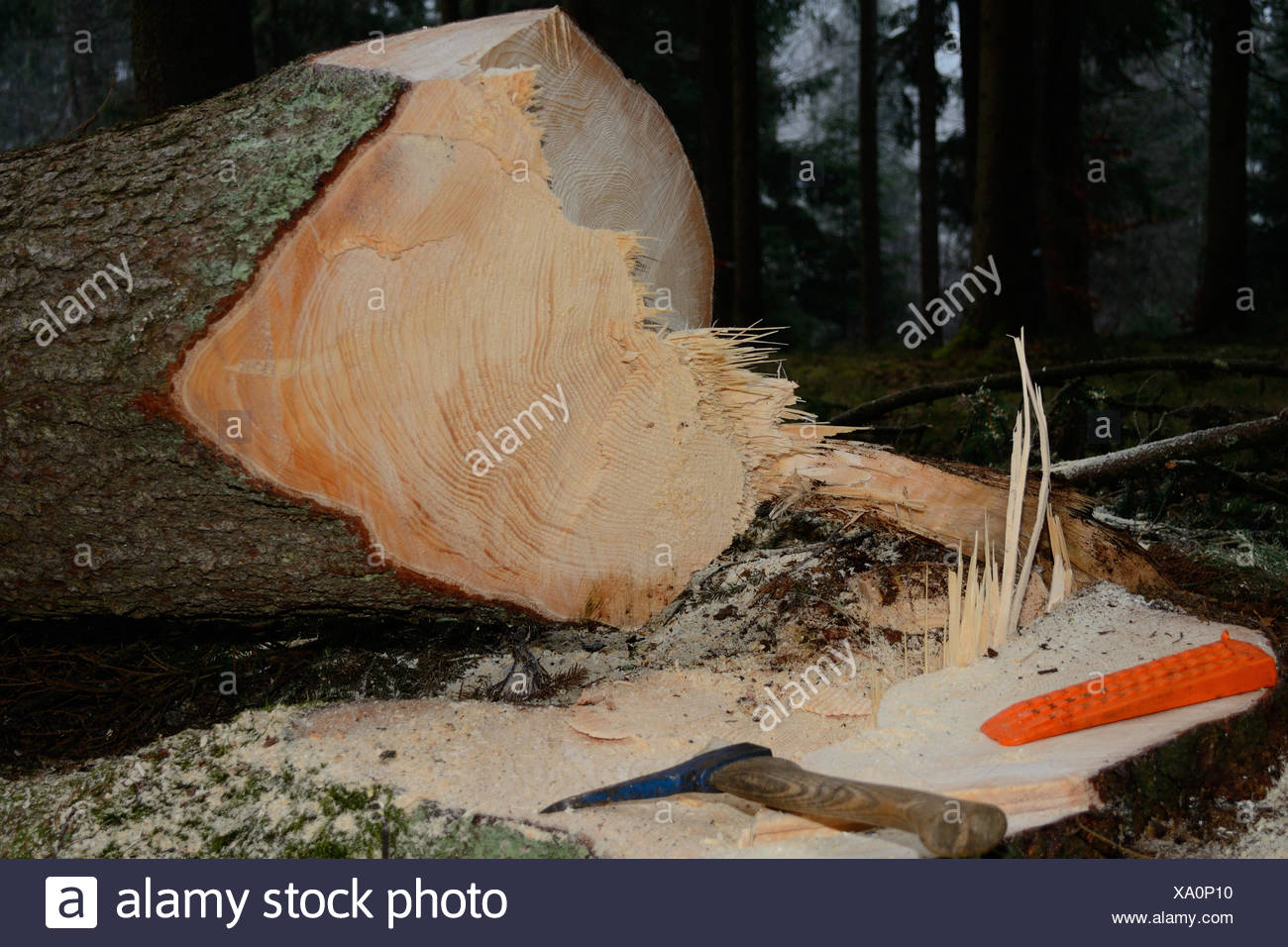 Wedge Tool High Resolution Stock Photography and Images - Alamy