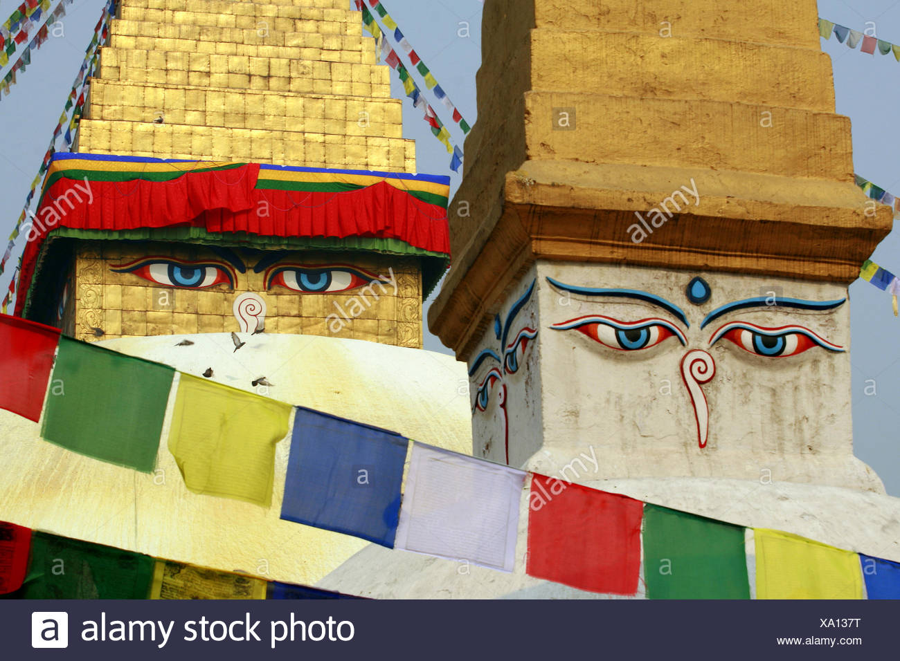 Temple Emblem Stock Photos & Temple Emblem Stock Images - Alamy