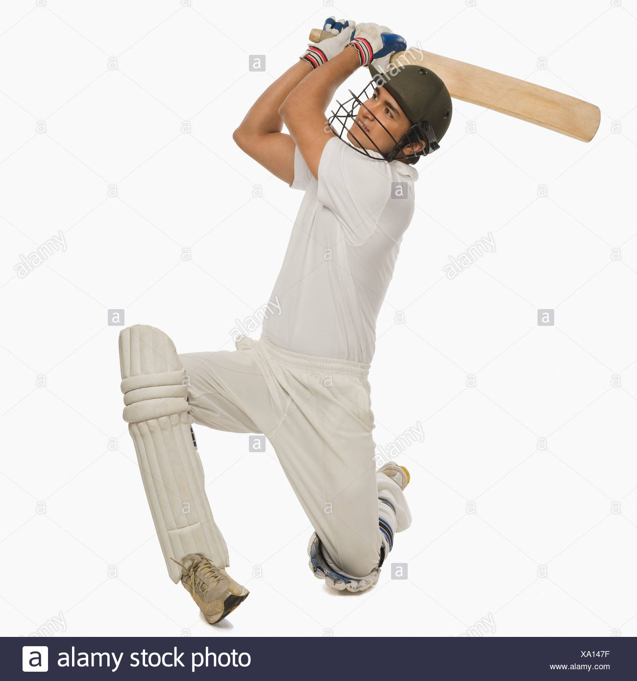 Cricket Cut Out Stock Images & Pictures - Alamy